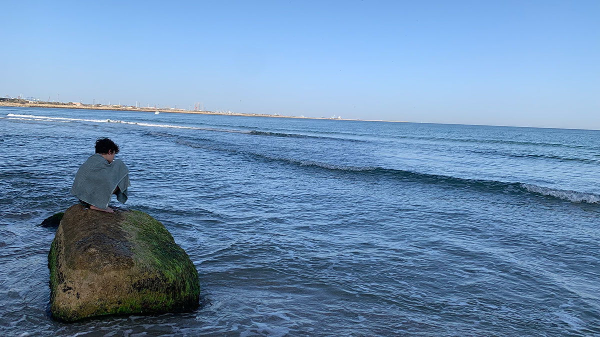 Despre acvile și sens | MONICA CĂLIN